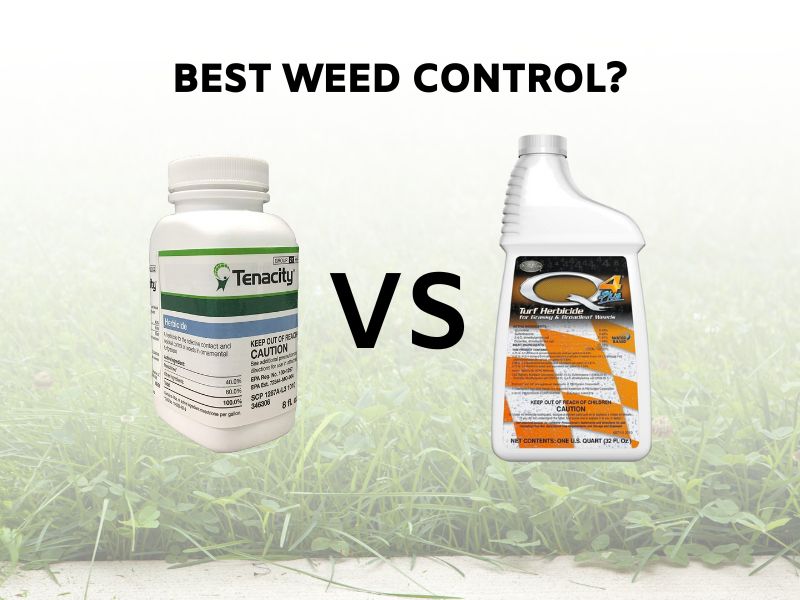 Best weed control product? Tenacity vs Q4 Plus Turf Herbicide – iGoPro ...